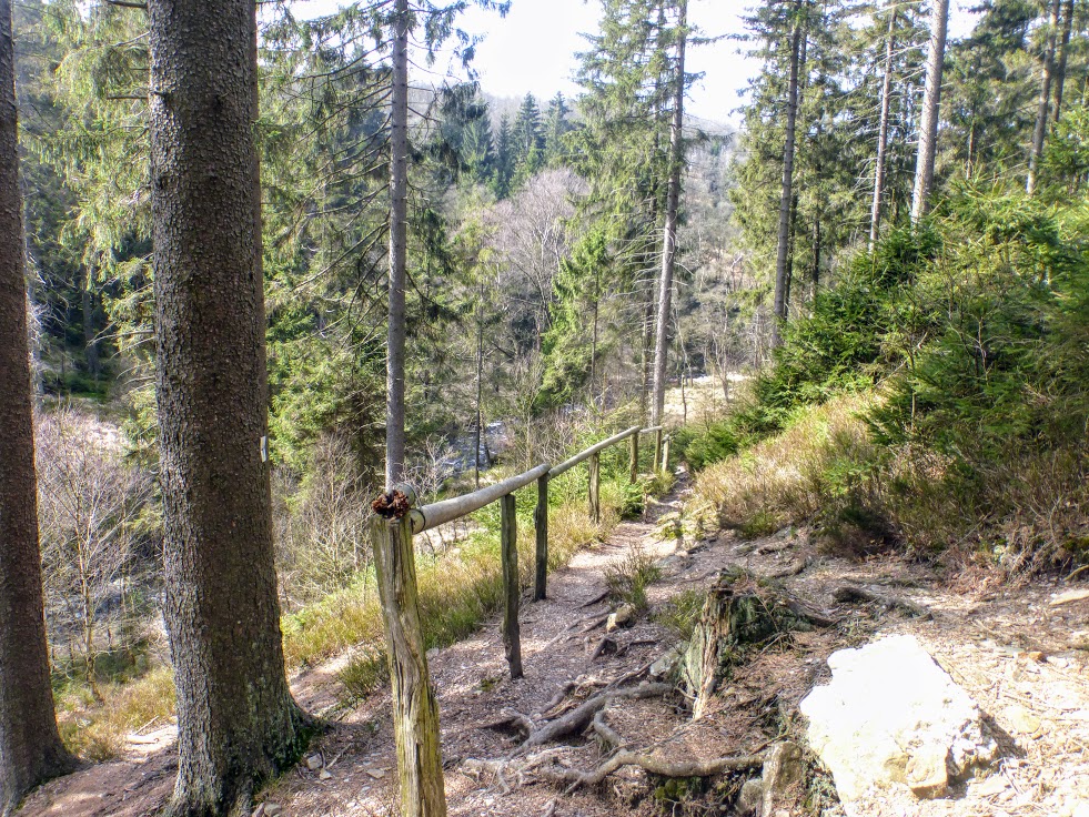 na-szlaku-ardeny – Mus Mozołu